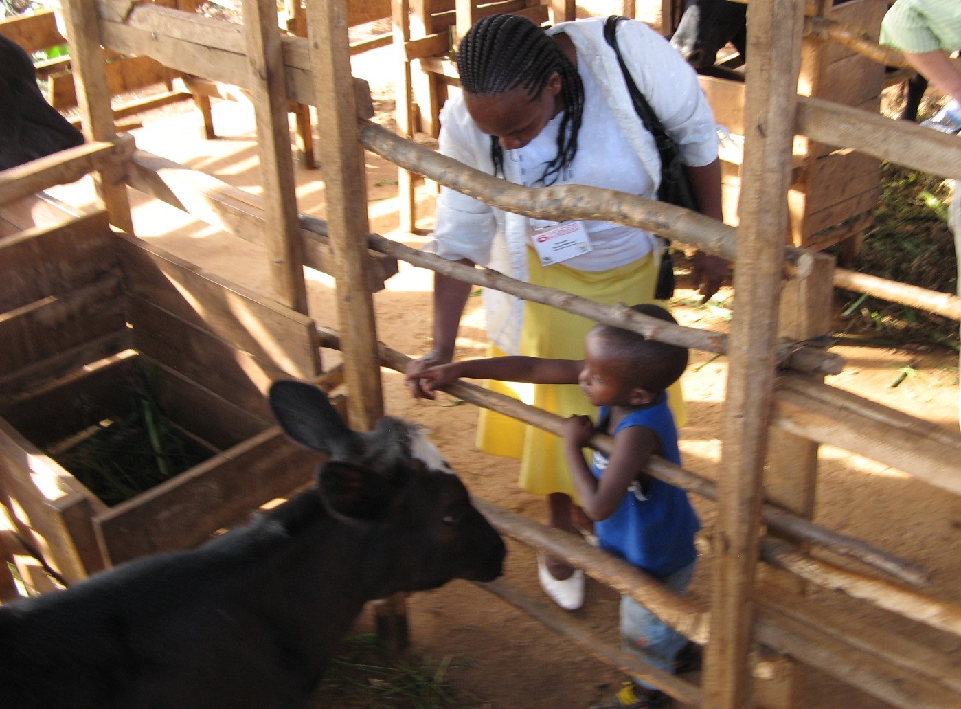 About Us – Rural Geography Research Group